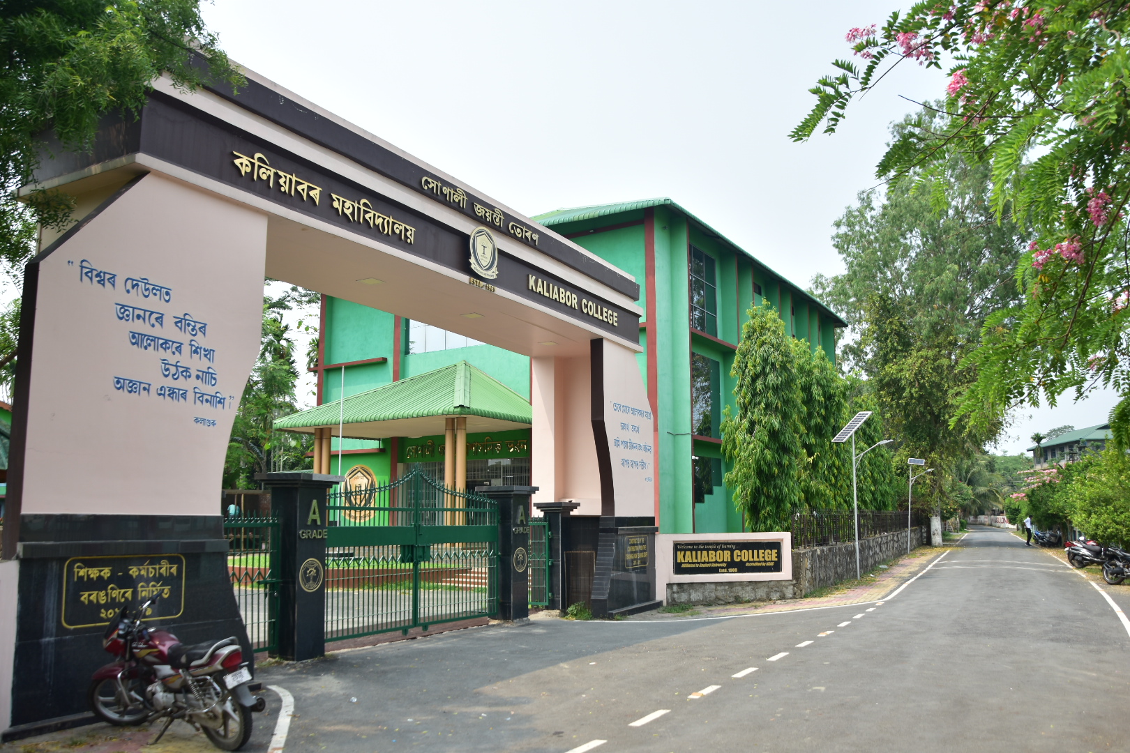 Kaliabor College